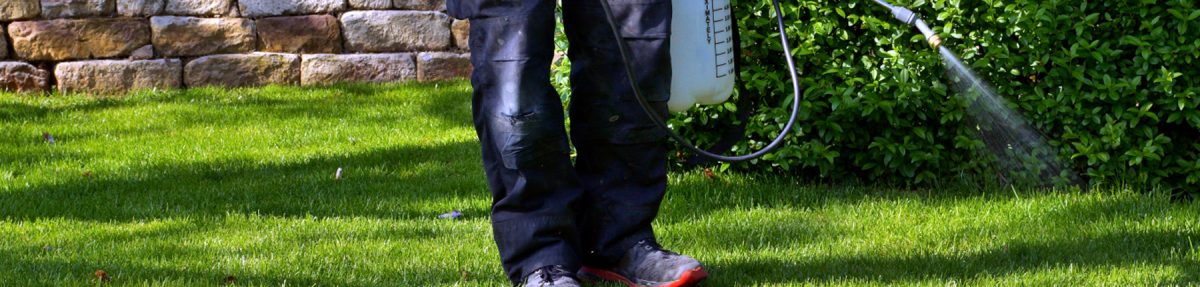 What is Perimeter Pest Control, and Why Should I Use It? | Superior ...